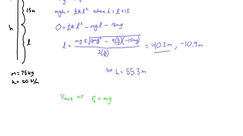 SOLVED: a) Calculate the spring constant k of the cord, assuming that ...