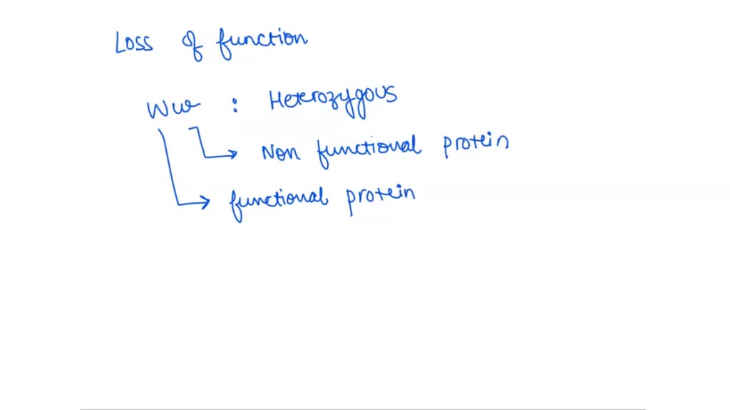 SOLVED: Why are loss-of-function mutations frequently recessive when ...