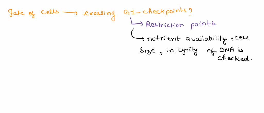 SOLVED: Cyclin levels increase in order for the cell to pass the: G1 ...