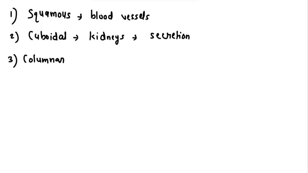 SOLVED: Anatomy and Physiology: Feedback Loop Systems and Tissue Types ...