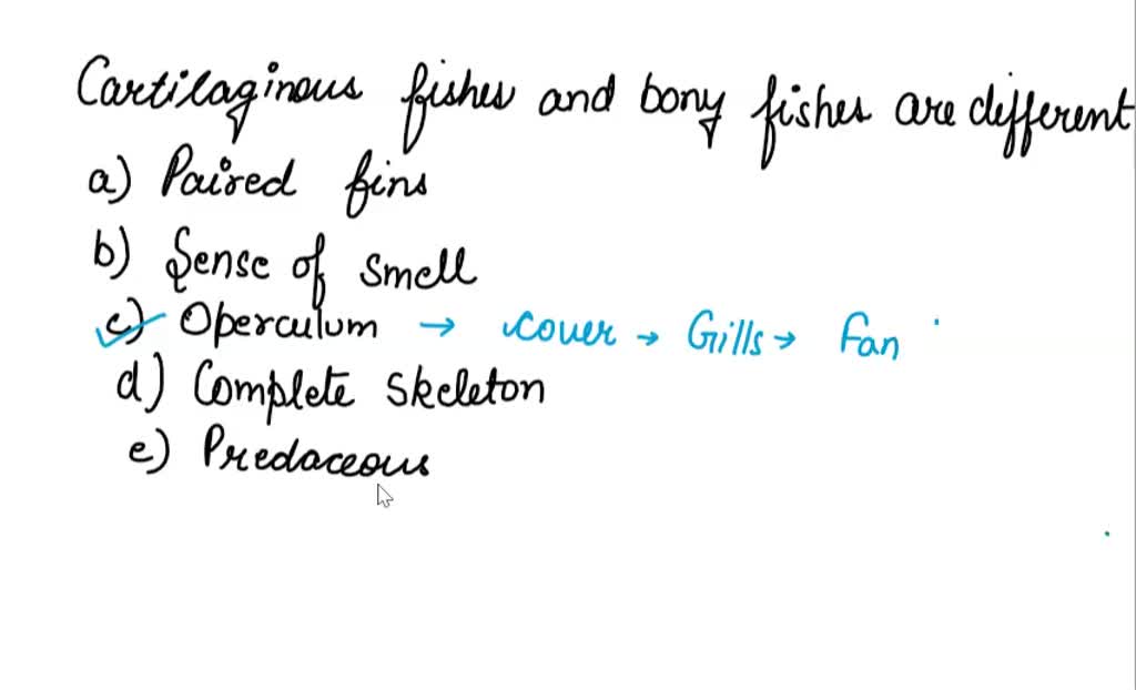 SOLVED: Cartilaginous fishes and bony fishes are different in that only ...