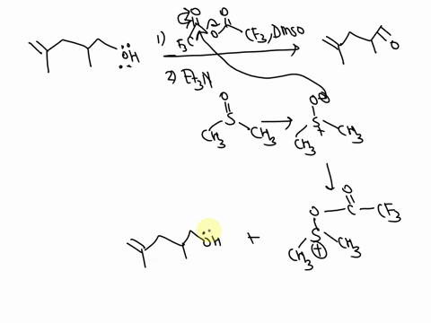 SOLVED: Dicyclohexylcarbodiimide (DCC) activates DMSO (dimethyl ...