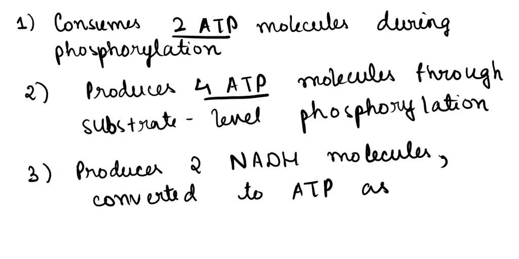 SOLVED: ATP Production and Lipid Metabolism The reduced nucleotides NADH and FADH2 are ...