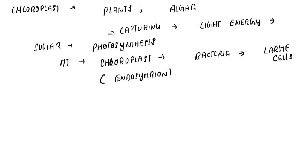 SOLVED: The theory of endosymbiosis states that 1.5 billion years ago ...