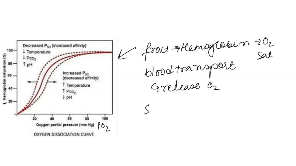 SOLVED: Explain how oxygen dissociation curve shifts affect oxygen ...