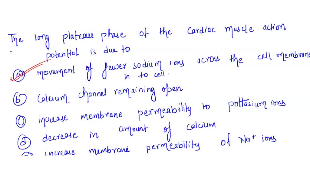 SOLVED: Question 2 a) Explain the origin of the resting potential in ...