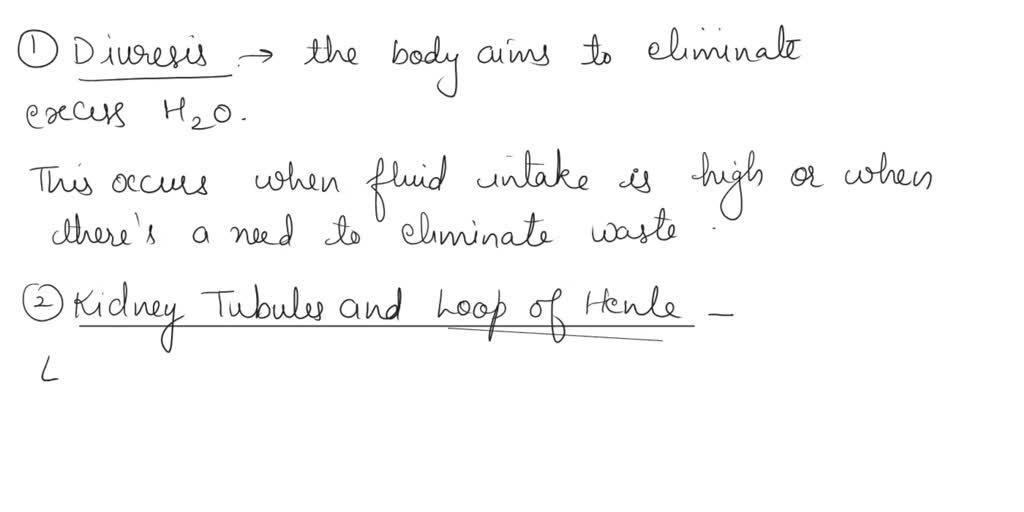 SOLVED: 7. Explain an elevated blood urea nitrogen (BUN) and creatinine ...