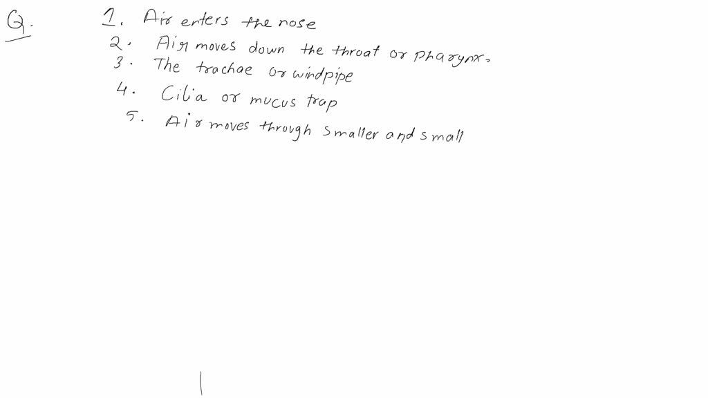 SOLVED: Help please, kailangan ko po. Additional Activities Part A: INHALE-EXHALE SEQUENCE ...