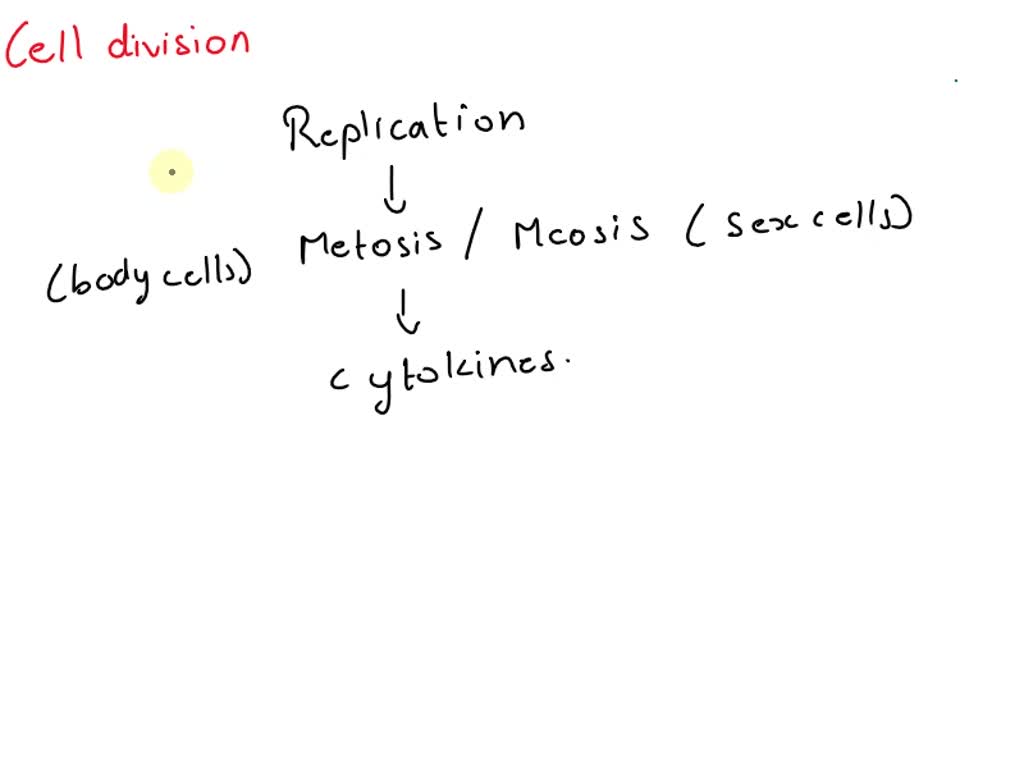 SOLVED: How do daughter cells obtain their DNA? The DNA in the parent ...