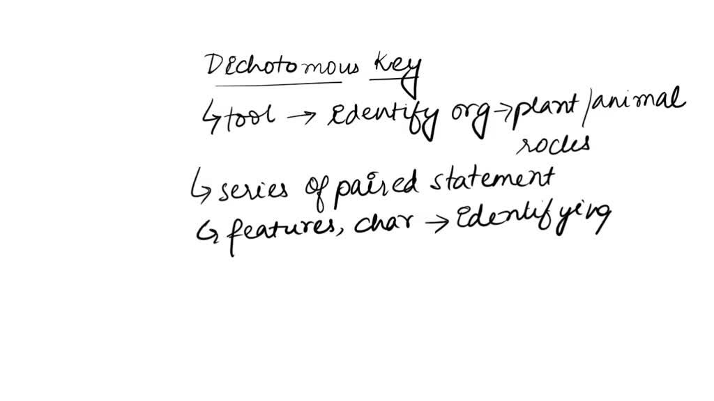 Solved What Is Not A Basic Feature Of An Outlinea Subordinationb Multiplicationc Parallelismd