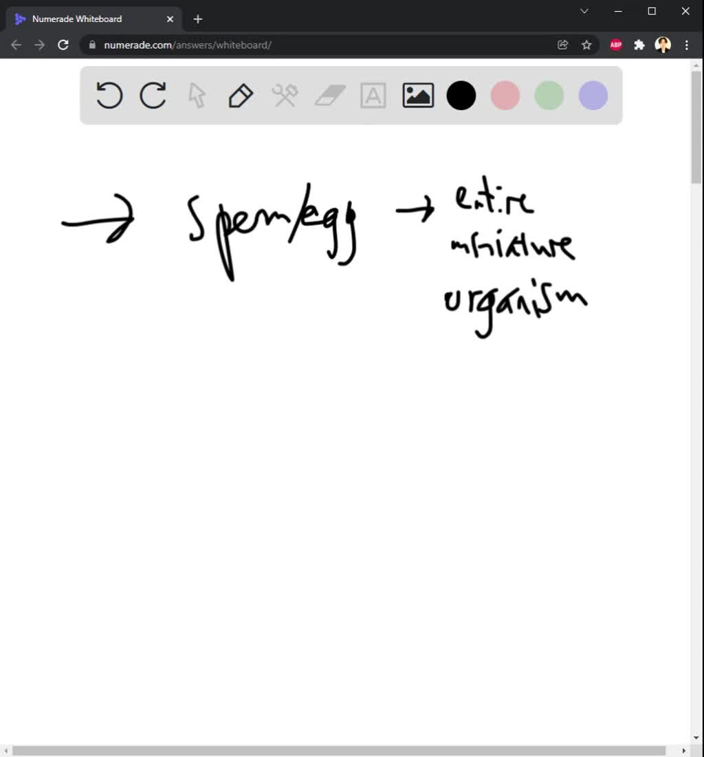 SOLVED: What role would mitosis and/or meiosis play in human ...
