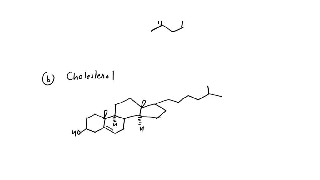 SOLVED: Circle the functional groups on the molecules shown below and ...