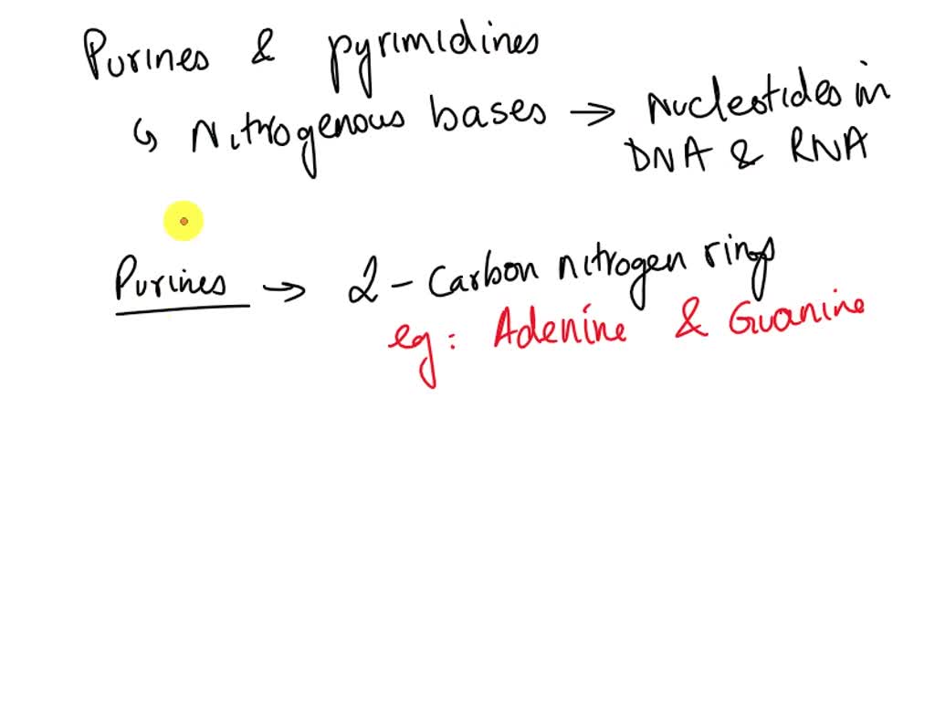SOLVED: The purine bases of DNA are adenine (A) and guanine (G). True ...