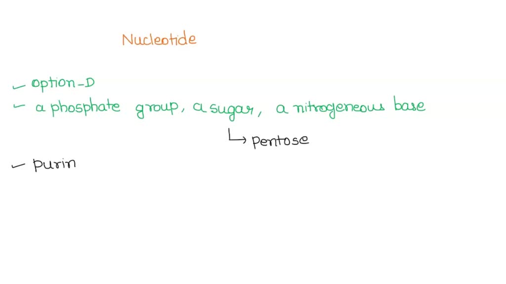 SOLVED: The major products of nucleic acid digestion in the small ...