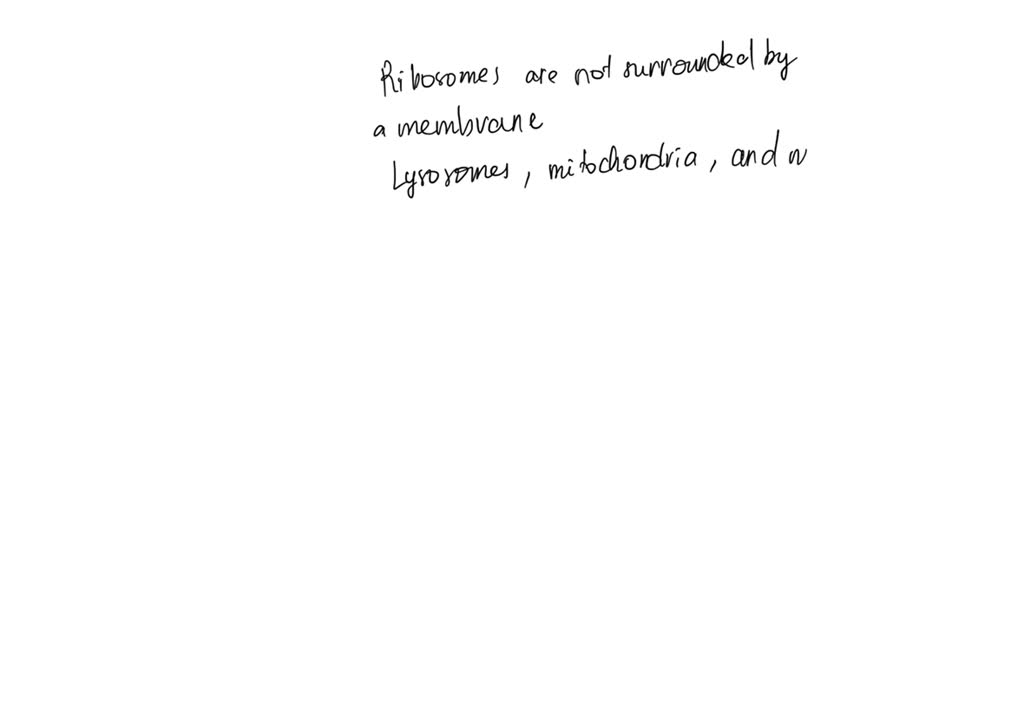 SOLVED: which of the following organelles is surrounded by a single ... SOLVED: which of the following organelles is surrounded by a single ...