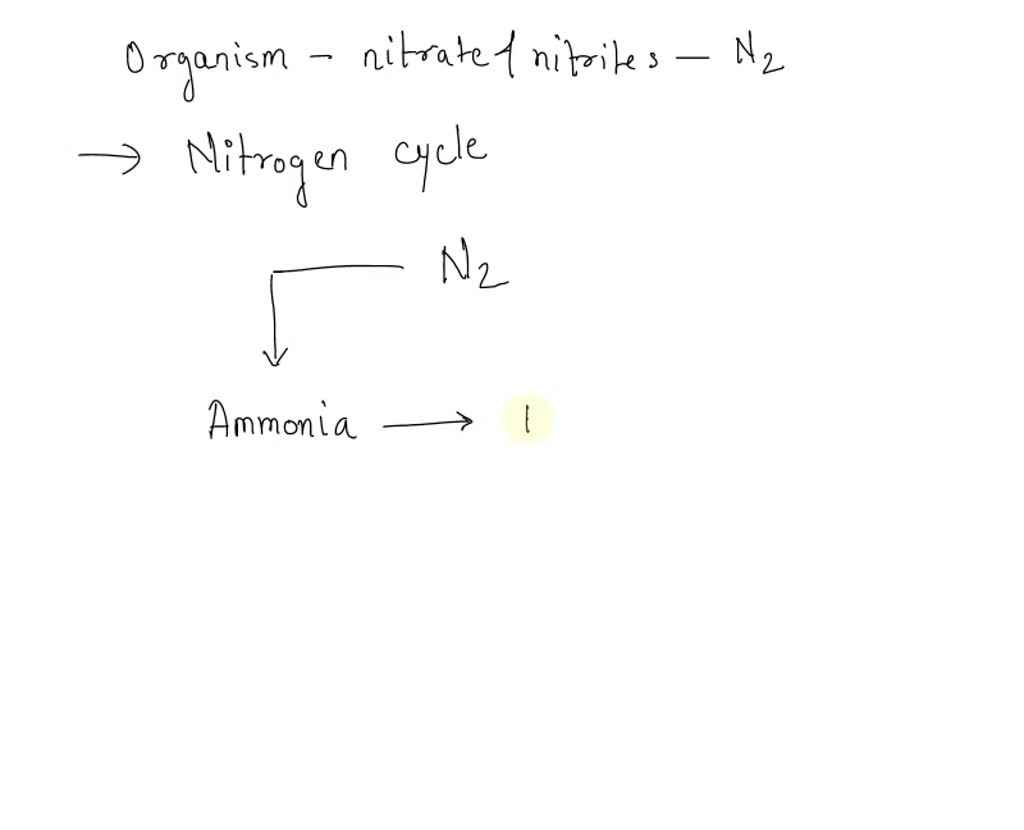 SOLVED:In the nitrogen cycle what are the organisms that break down ...