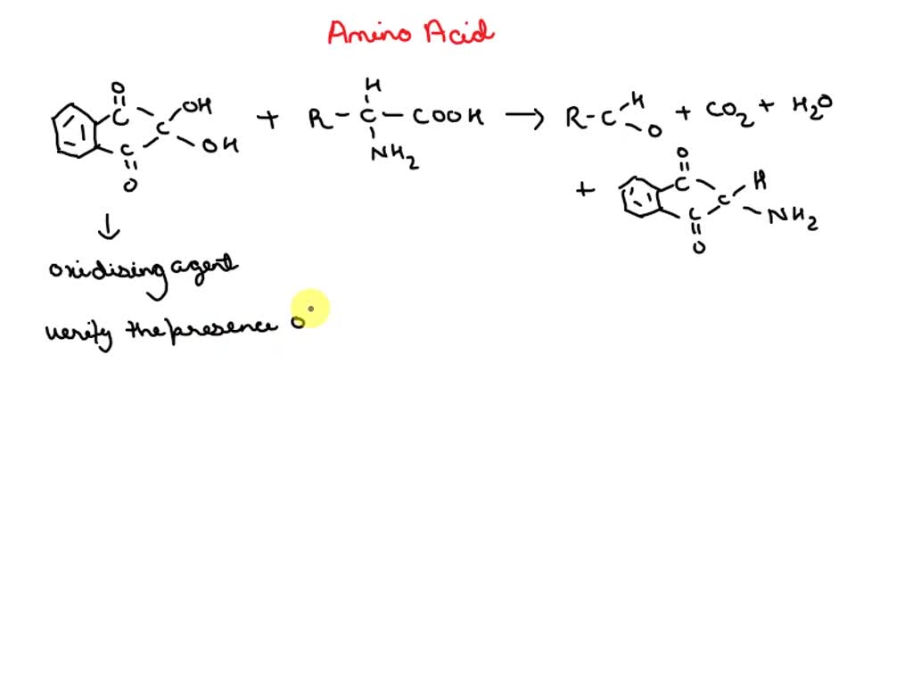 SOLVED: According to the equation for the ninhydrin reaction with an ...