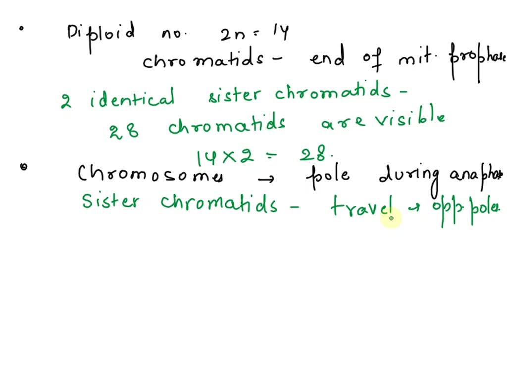 SOLVED: If an organism has a diploid number of 14, a. how many ...