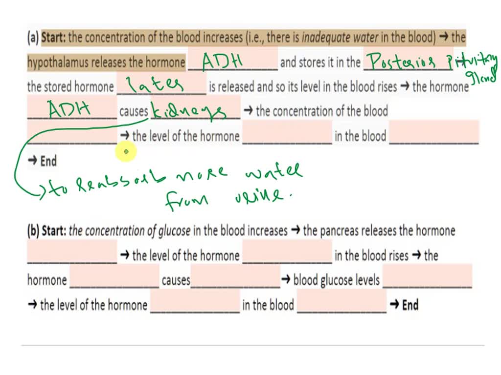 Procedure 3: Tracing Negative Feedback Loops Read pp 433-434 before ...