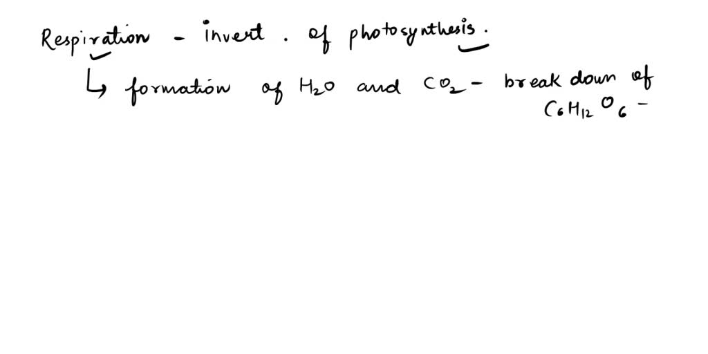 Texts: EXERCISE 24 REVIEW SHEET Respiratory System Physiology Name Lab ... Texts: EXERCISE 24 REVIEW SHEET Respiratory System Physiology Name Lab ...