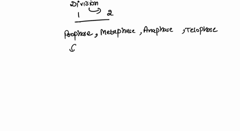 devise a way to remember each stage of mitosis propose one word or a ...
