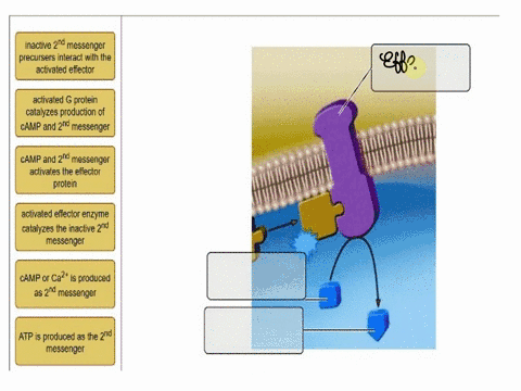 Part D Drag the labels describing a correct description of...