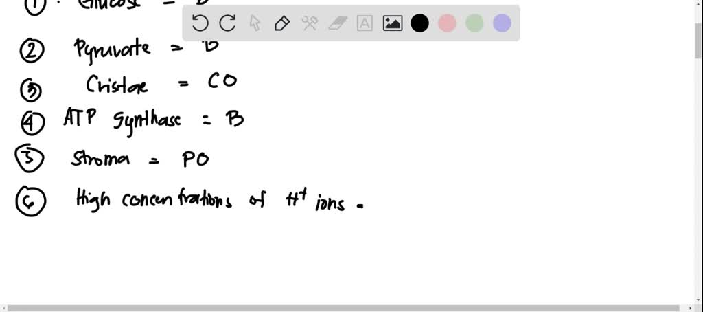 Solved In The Following Matching Set The Words In The Right Column Can Be Used More Than Once