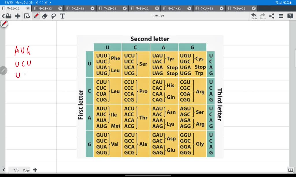 SOLVED: What amino acid sequence will be generated, based on the ...