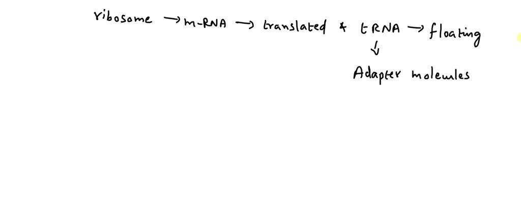 SOLVED: 4. The nucleotide sequence of a DNA codon is GTA. A messenger ...