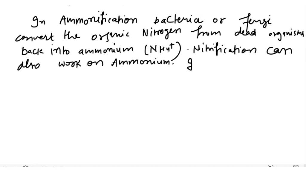 SOLVED: Nitrogen can be converted through both biological and chemical ...