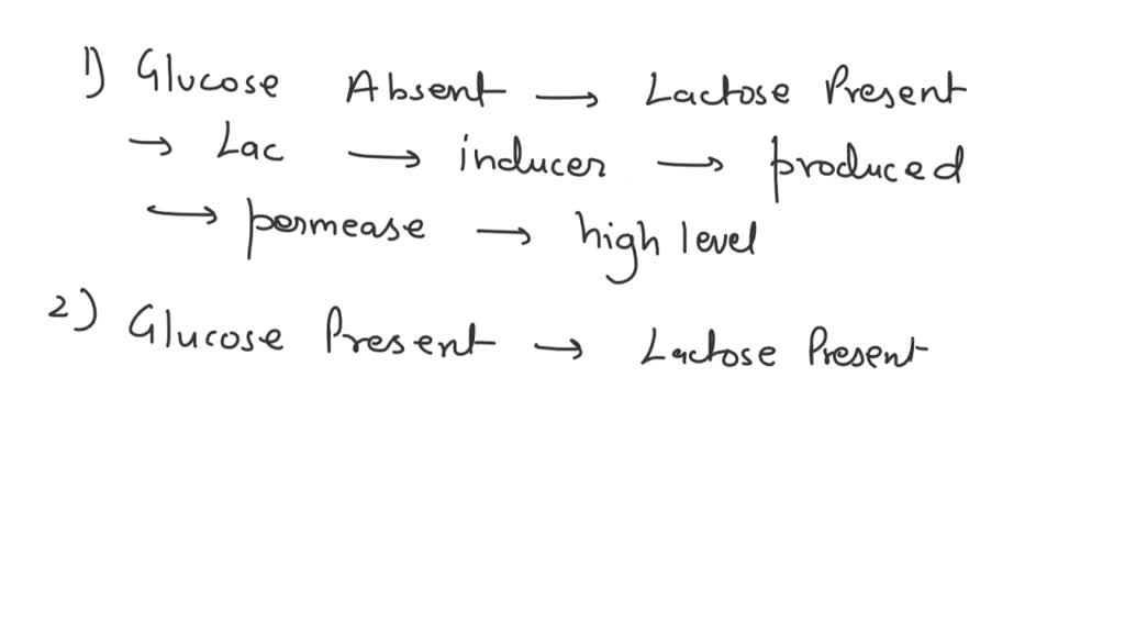 SOLVED: For genotype: lacS lacPt lacOt lacZ lackt laclt lacP - lacOC ...