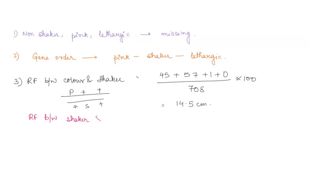 SOLVED: Question 1 1 pts Which exercise test will predominantly use the ... SOLVED: Question 1 1 pts Which exercise test will predominantly use the ...