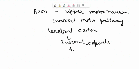 6 describe the primary functions of the direct and indirect...