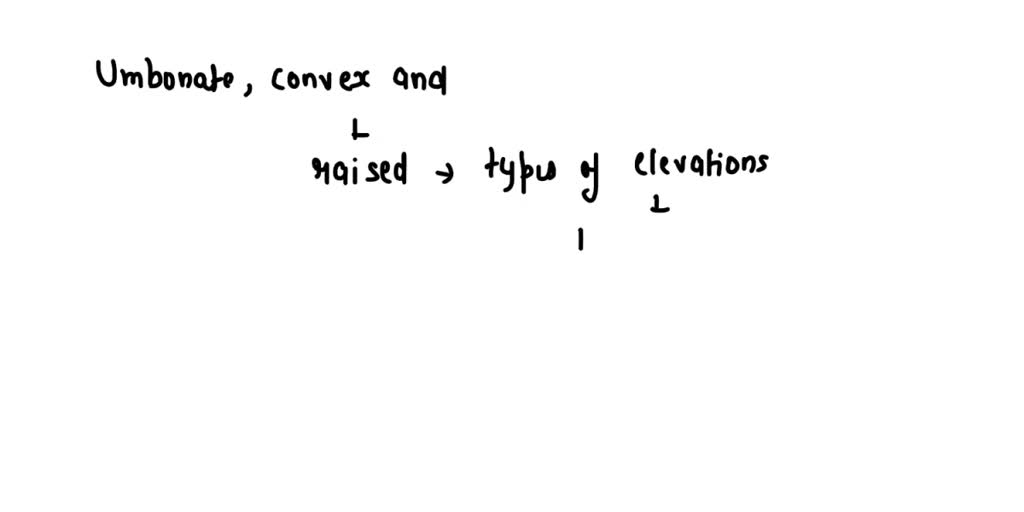 SOLVED: Umbonate, convex, and raised are all types of margins ...