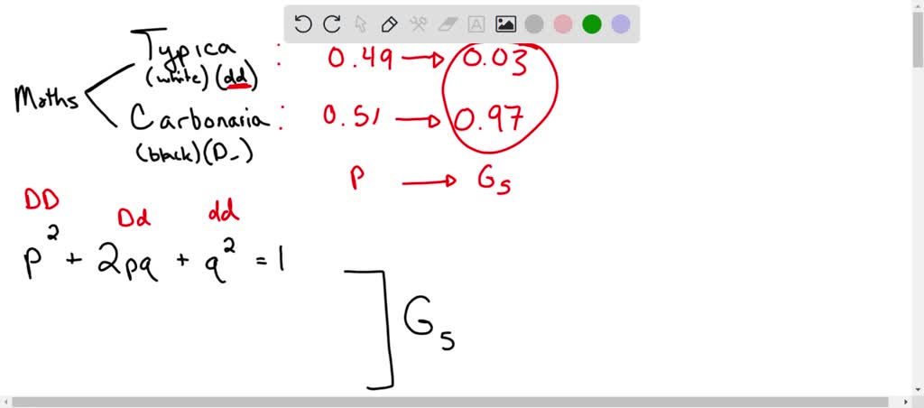 SOLVED: Calculate phenotype frequencies in the 5th generation. Record ...
