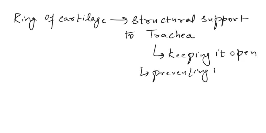 SOLVED: Texts: ACTIVITY 1: QUIZ - RESP ANATOMY MODULE: RESPIRATORY TOPIC: STRUCTURES / TYPE ...