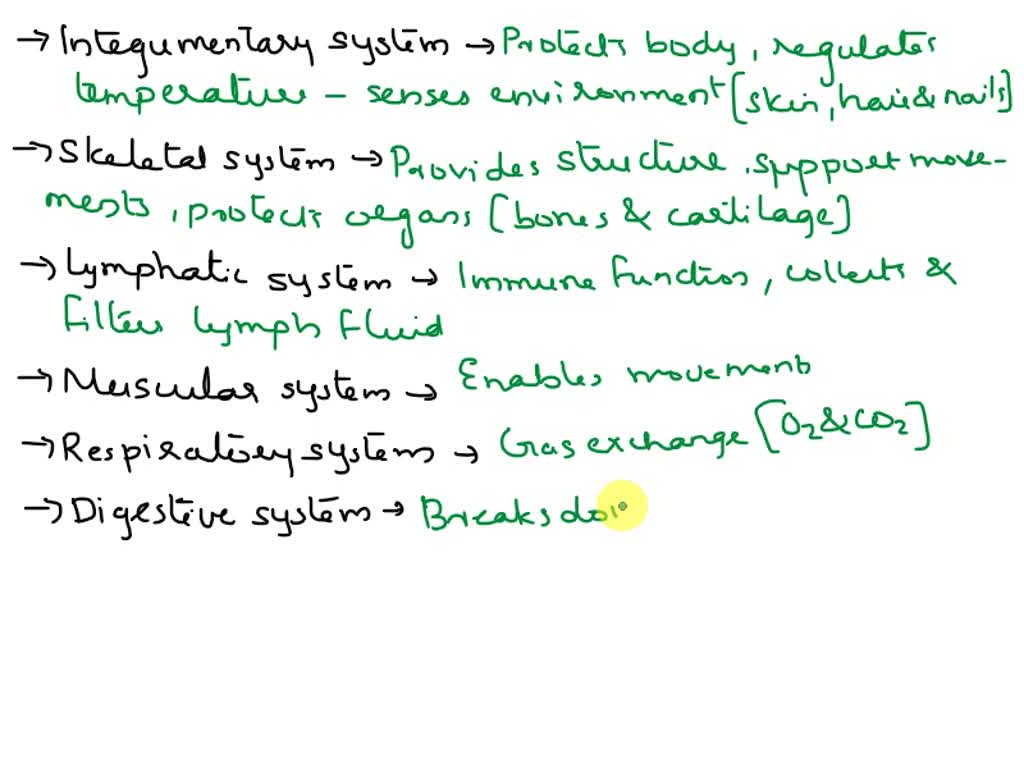 SOLVED: Identify the characteristics in the integumentary system ...