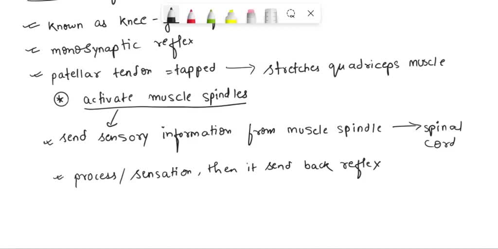 1. The nurse is tapping with the medical hammer on which of the ...