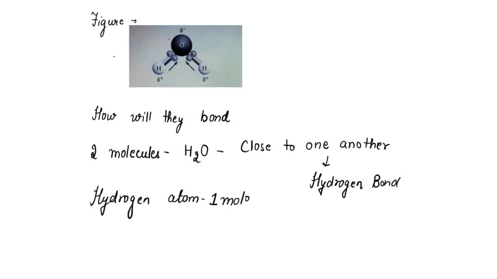 SOLVED: Question 13 1pts Use the figure to answer the following ... SOLVED: Question 13 1pts Use the figure to answer the following ...