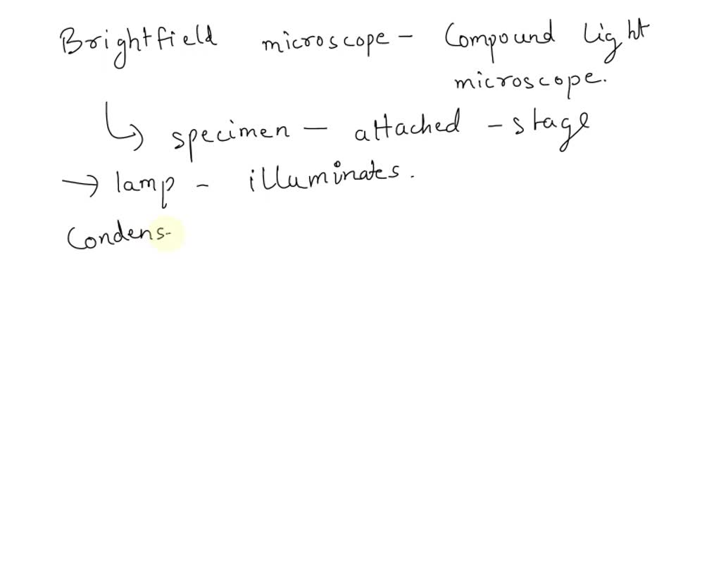 SOLVED: Part E In a typical brightfield microscope (seen in the ...