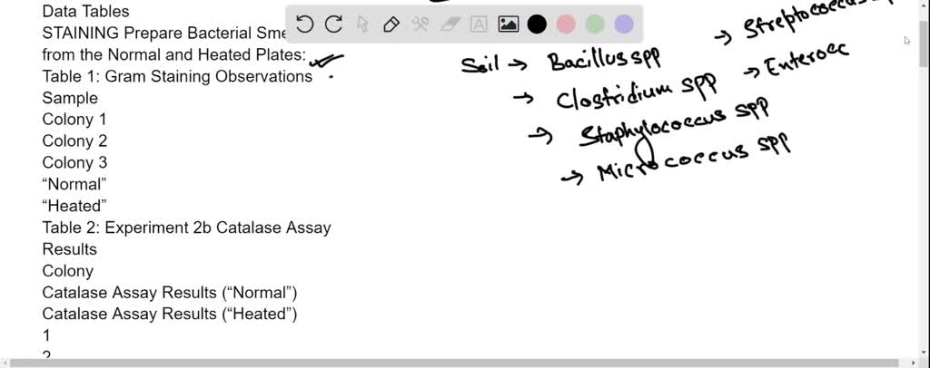 SOLVED: Experiment 2: Characterizing Bacteria Isolated from Soil Data ...