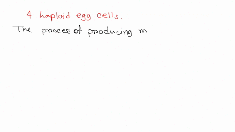 The process of oogenesis produces one genetically unique