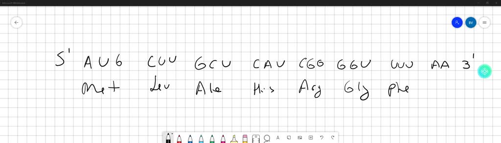 SOLVED: z Instructions Question 8 1pts In the process of transcription ... SOLVED: z Instructions Question 8 1pts In the process of transcription ...