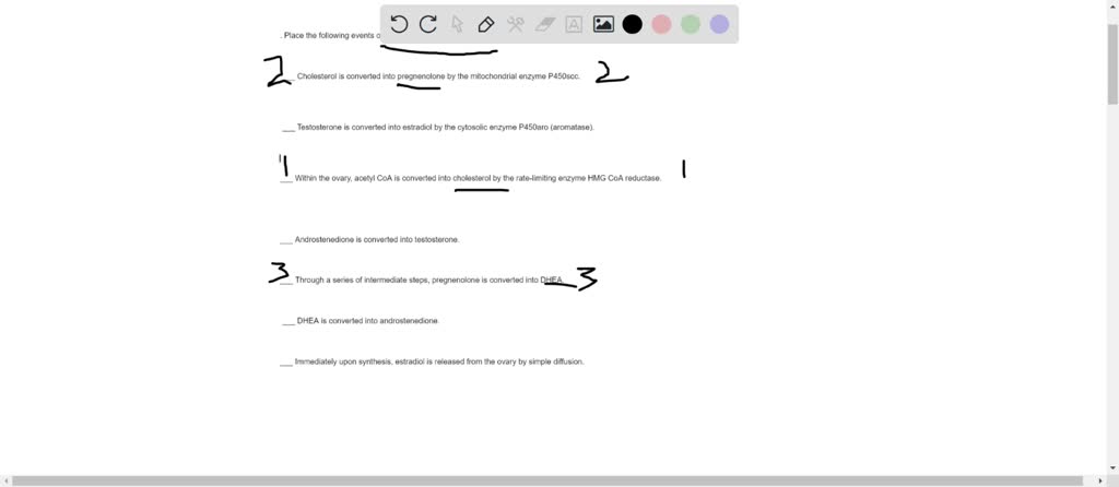 SOLVED: Place the following events of estradiol (E2) synthesis in the ...