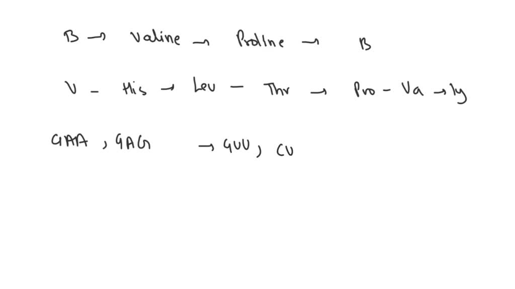 SOLVED: Sickle cell disease is caused by an apparently minor change in ...