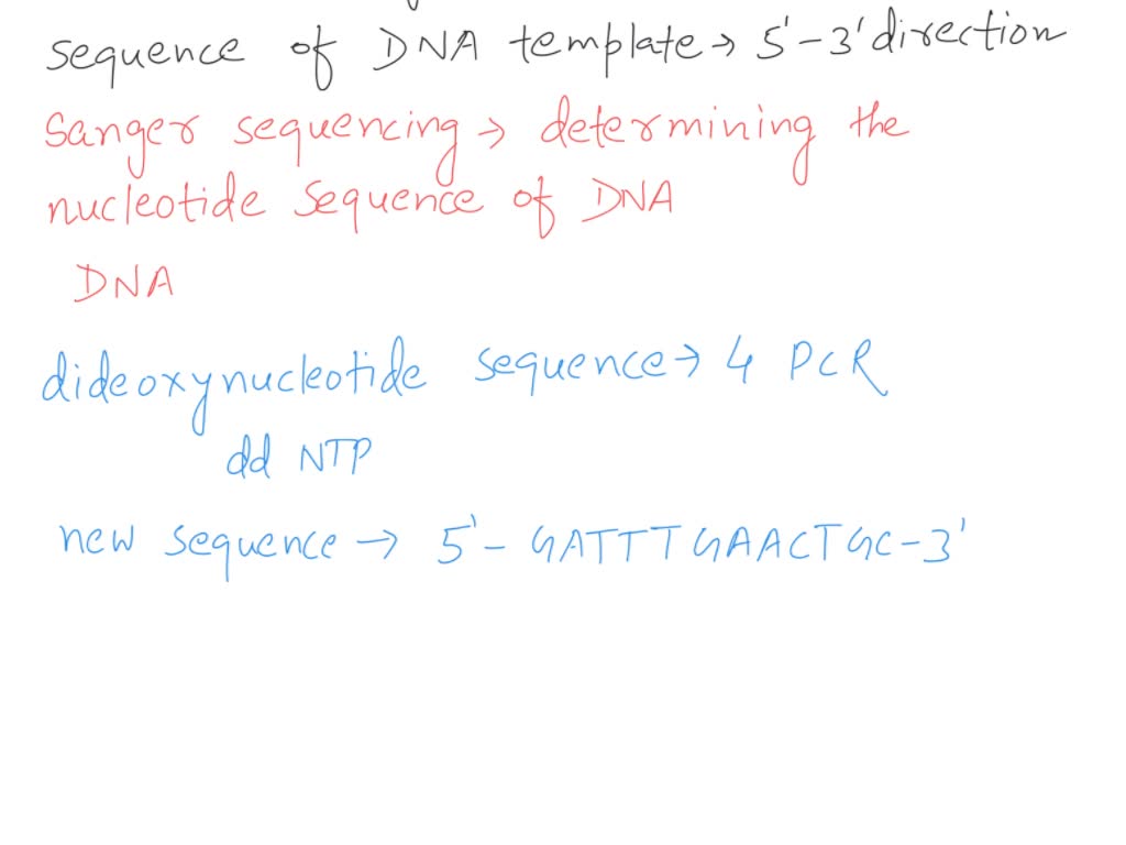 SOLVED: The autoradiogram shown was obtained from a DNA sequencing ...