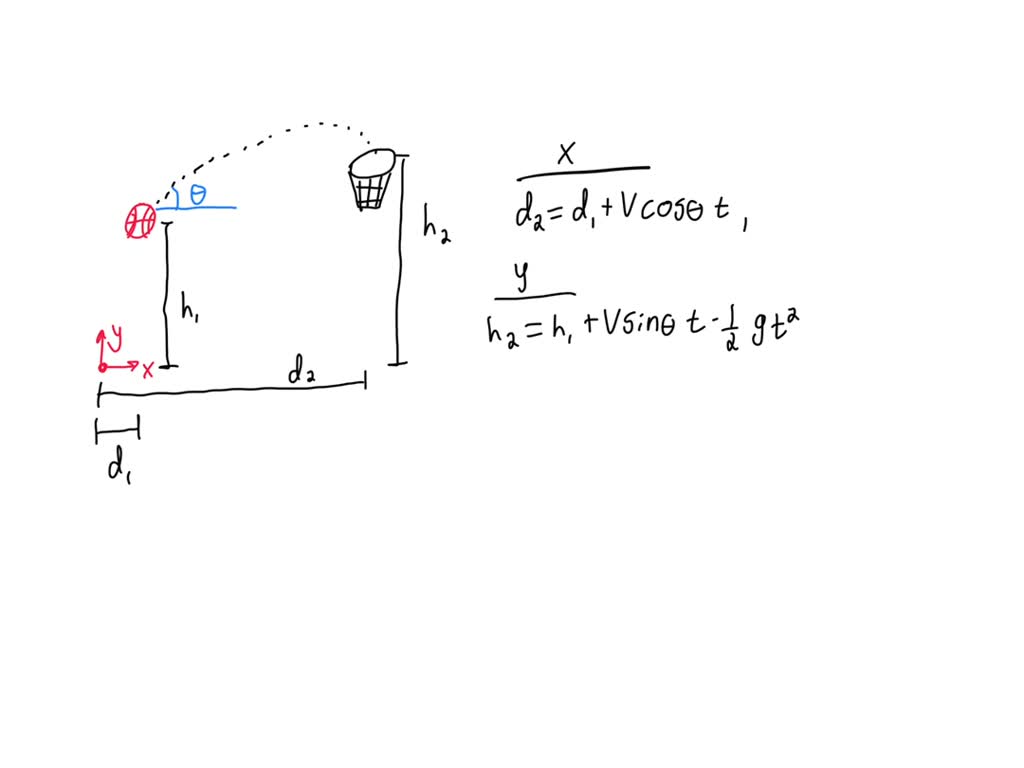SOLVED: At what initial speed must the basketball player in the figure ...