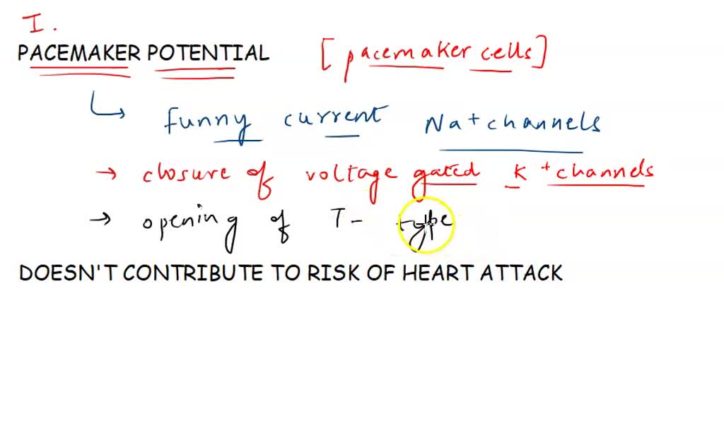 SOLVED: Question 39 The "pacemaker potential" of pacemaker cells is ...
