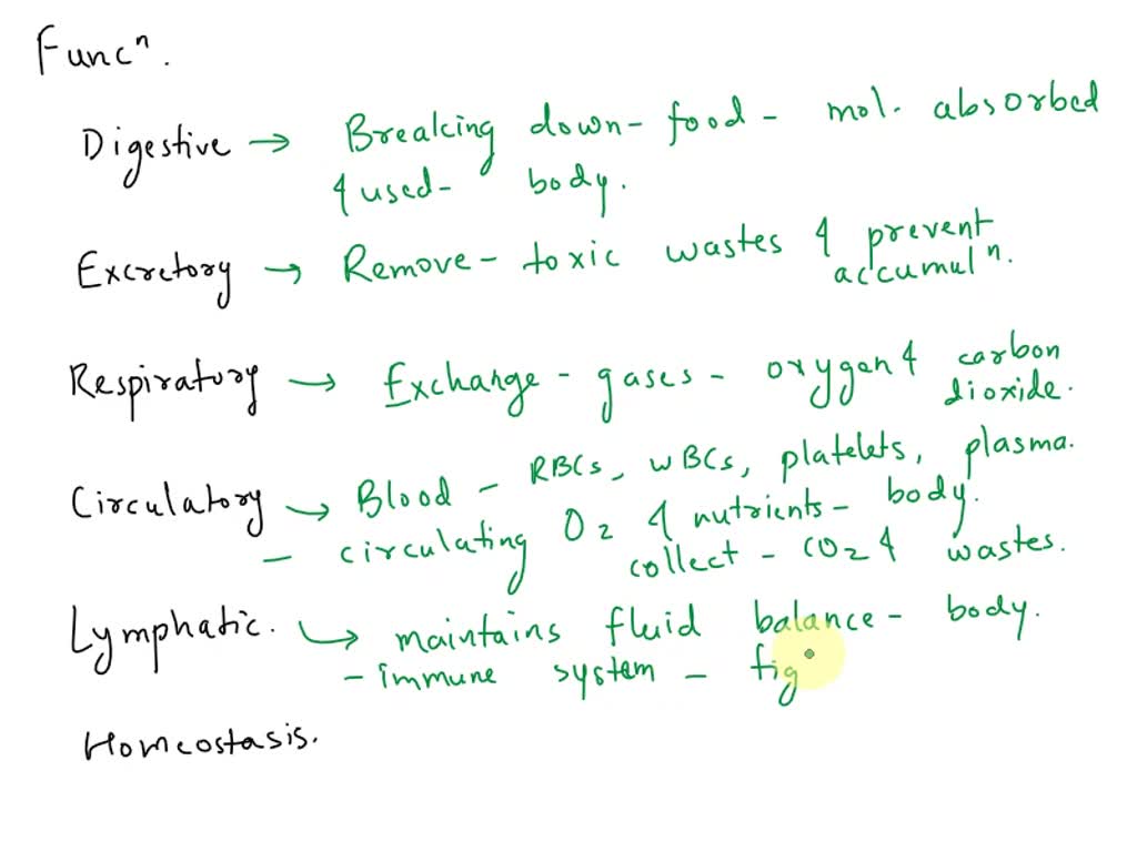 SOLVED: What is the functions of the digestive, excretory, respiratory ...