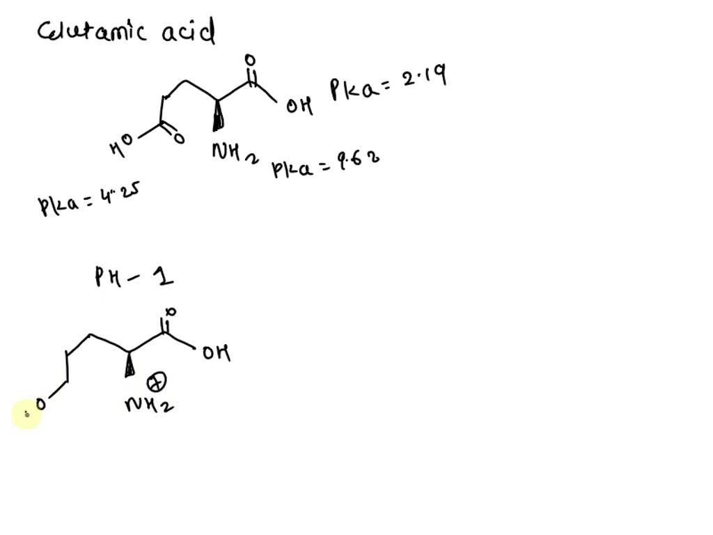 SOLVED: The pKa values for glutamic acid are 2.19, 9.67, 4.25. 3. Write ...